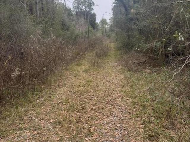 121 Pinecone St, Pass Christian, MS 39571