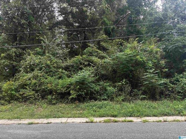 121 Wilson Glen Dr Lot 3, Wilsonville, AL 35186