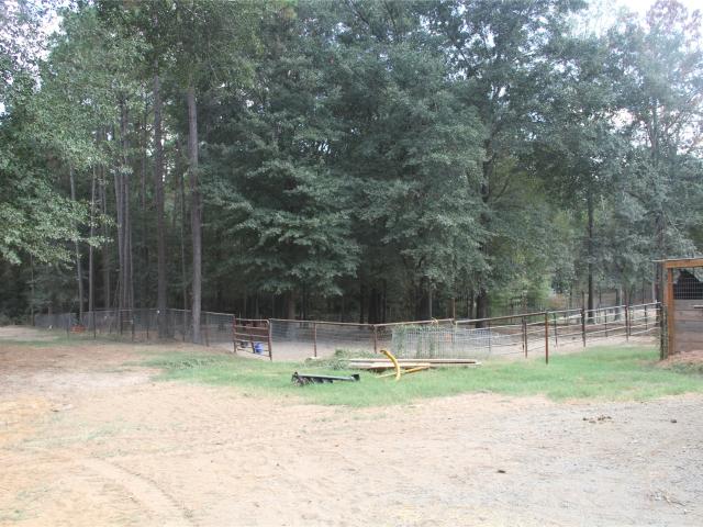 12240 High Fire Rd, Montgomery, TX 77356 | MLS #12094