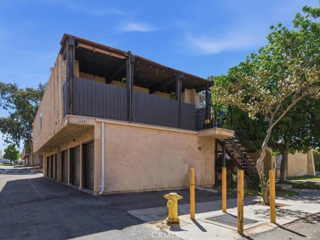 12241 Carnation D