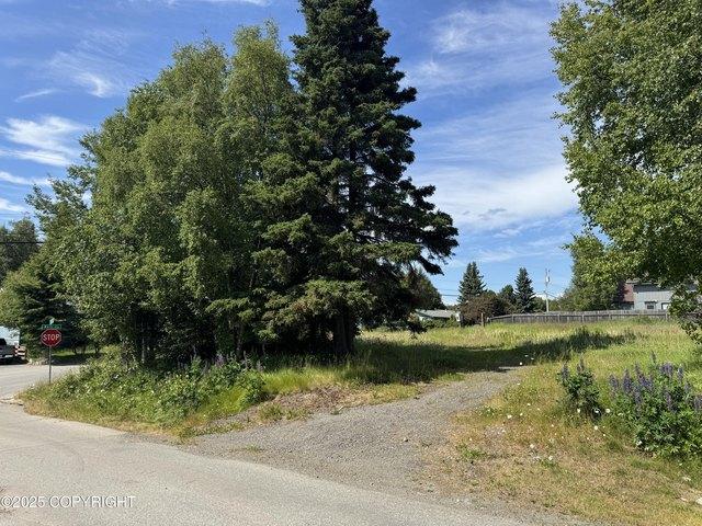 12241 Mary Ave, Anchorage, AK 99515
