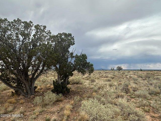 1224 E Valle Rd Lot 8, Williams, AZ 86046