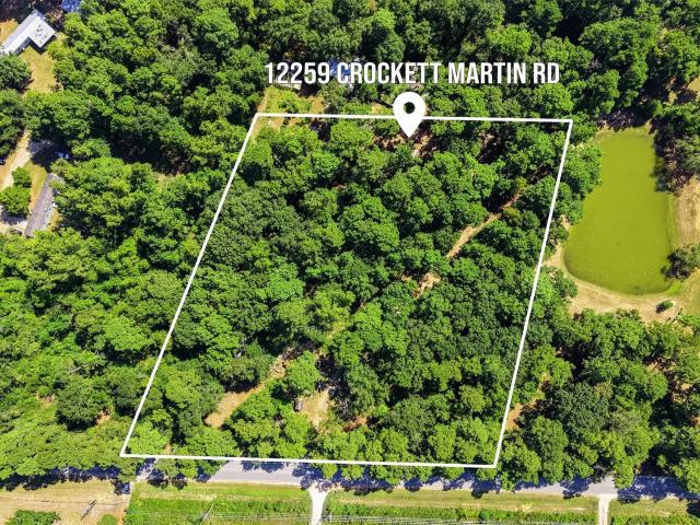12259 Crockett Martin Road