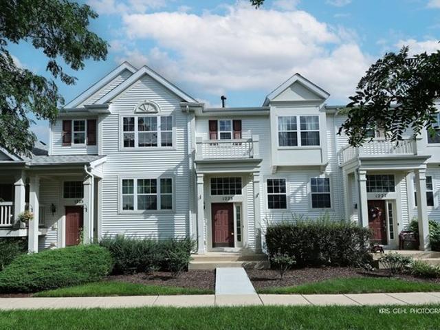 1225 Driftwood Ln, Pingree Grove, IL 60140