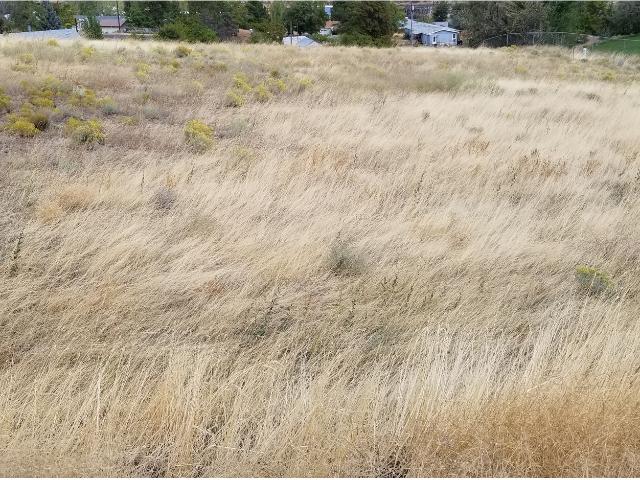 1225 Fairway LOOP