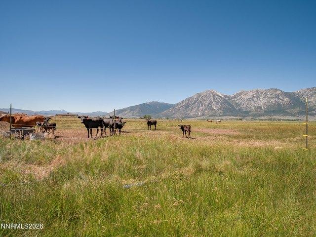 1225 Highway 88, Gardnerville, NV 89460