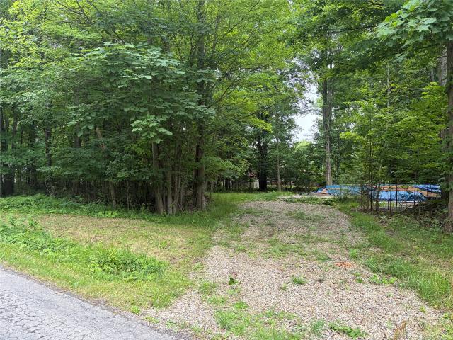 1225 lakeview road