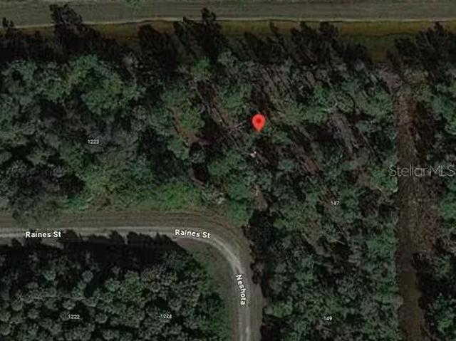 1225 Raines Street E, Lehigh Acres, FL 33974 MLS T3541986