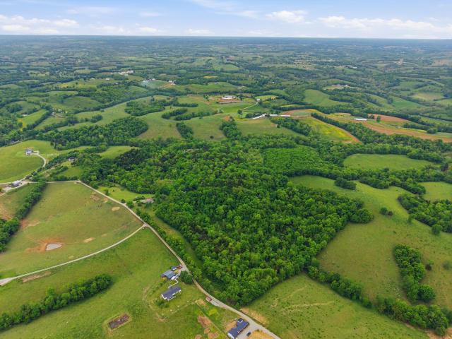 1225 Rooster Run Road