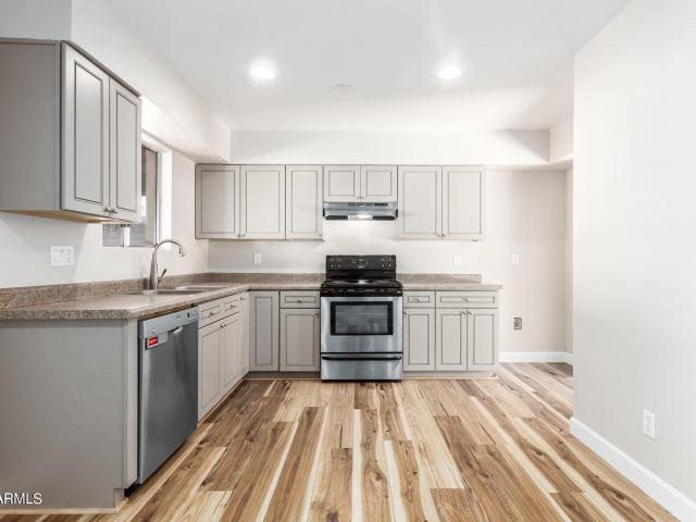 1225 w halstead drive