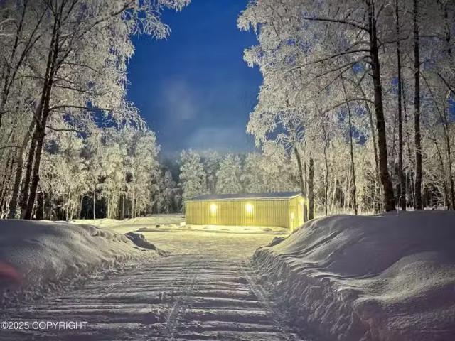 12262 W WINKLER WAY, WASILLA, AK 99623 Single Family Residence.