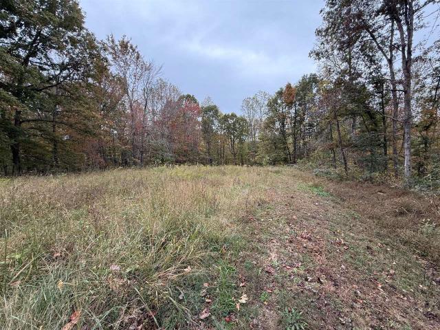 12269 Cub Run Highway