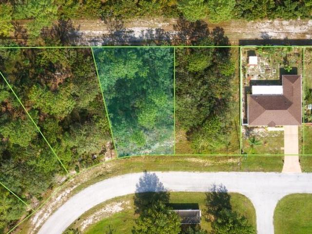 1226 Apopka Ln, Kissimmee, FL 34759