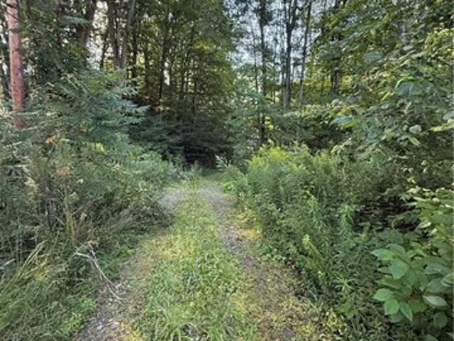 12283 Northeast Rd, Conewango Valley, NY 14726