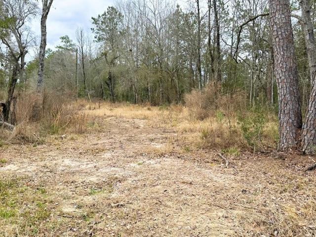 12280 Pelt Rd, Kountze, TX 77625