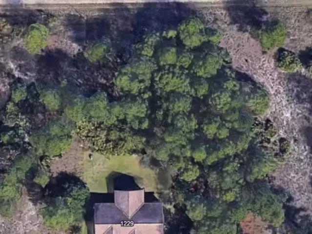 1228 Celtic St E, Lehigh Acres, FL 33974 MLS 225043574