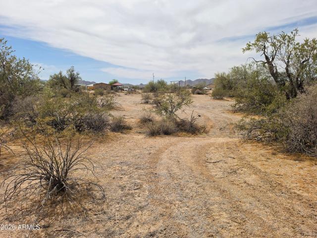 1229 n emily lane # 3