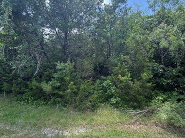 12208 Rolling Oaks Dr, Whitney, TX 76692