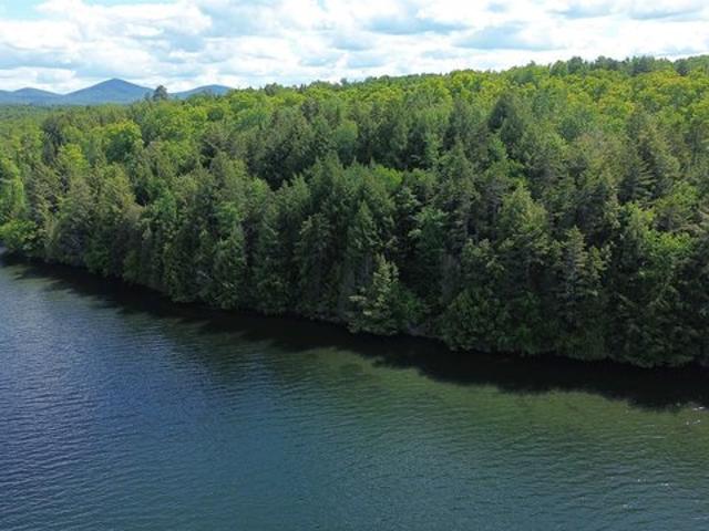 1220 Camp Winape Rd, Morgan, VT 05829