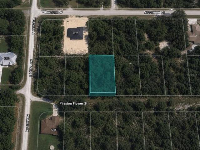 1220 Passion Flower St, Sebring, FL 33875
