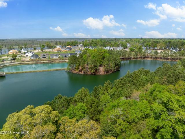 1220 Rockhill Rd, Castle Hayne, NC 28429 | MLS #100441