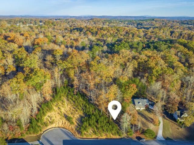 12210 Tobacco Road