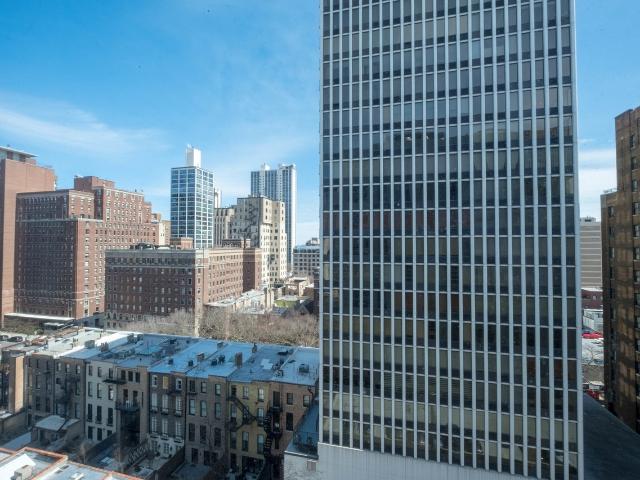 1221 N Dearborn Street # 1207N