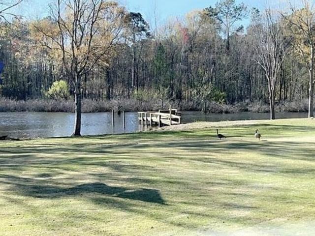 1221 Dove Ln, Summerton, SC 29148
