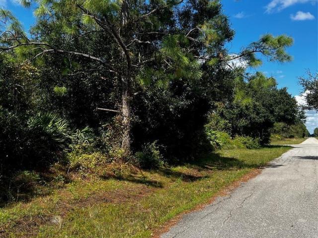 1221 Hamilton Ave, Lehigh Acres, FL 33972 | MLS #F10514