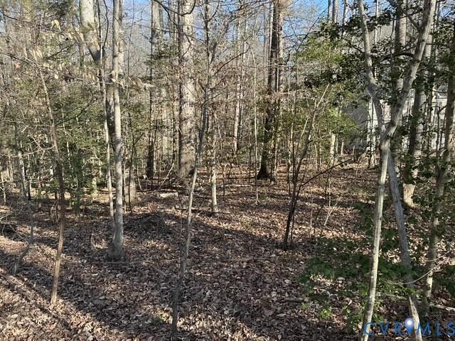 12225 Tavern Hill Ct, Chesterfield, VA 23832 | MLS #2601 | Compass