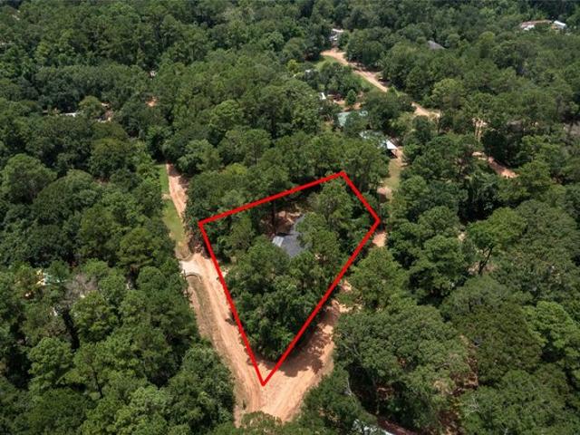12228 Thornwood Dr, Plantersville, TX 77363