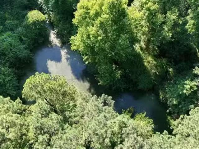 1222 N US Hwy 1, Cassatt, SC 29032 MLS 591000