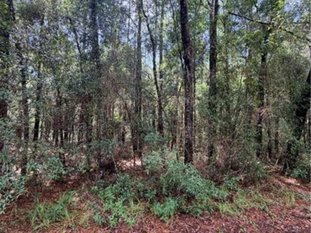12230 S Daffodil Pt, Floral City, FL 34436