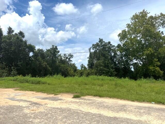 12239 Burke Rd, Fountain, FL 32438 | MLS #983842