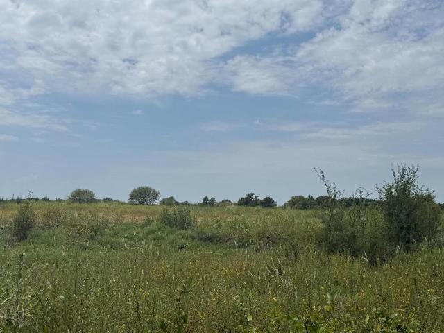 1223 Hcr 1223, Whitney, TX 76692 | MLS #21111