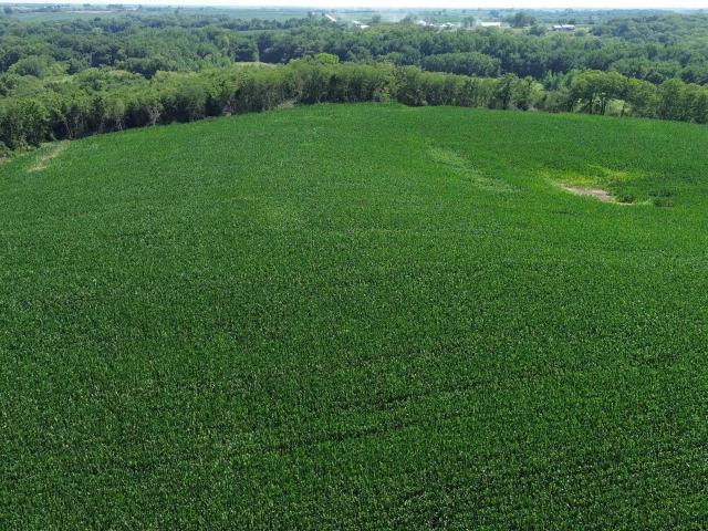 122 Acres Highway 21