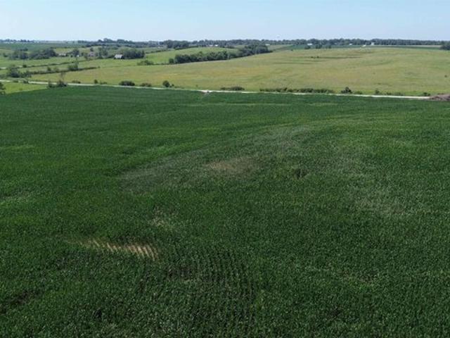 122 Acres Highway 21, Delta, IA 52550