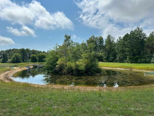 122 Acres Oceana Drive, Hart, US, MI