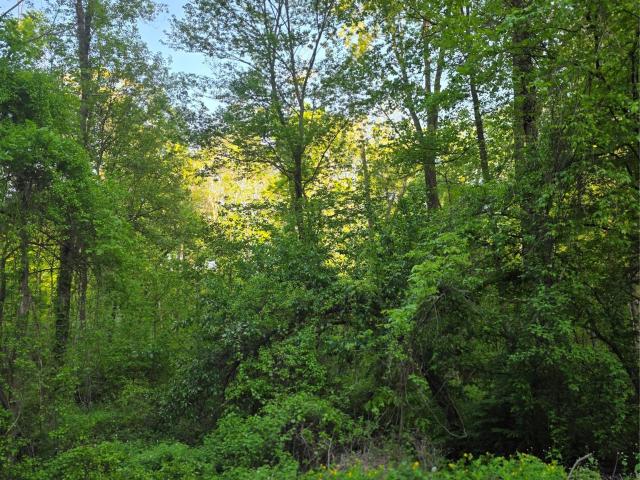 122 Archer Rd