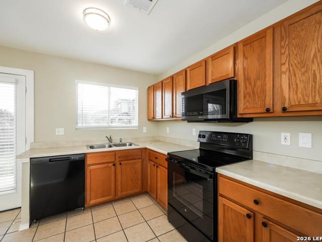 122 Blue Juniper