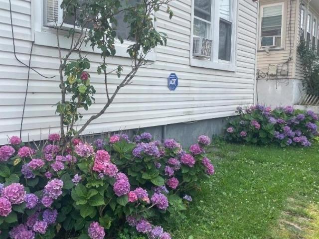 122 Buffalo Ave # 4