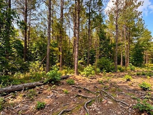 122 Southern Locust Trail