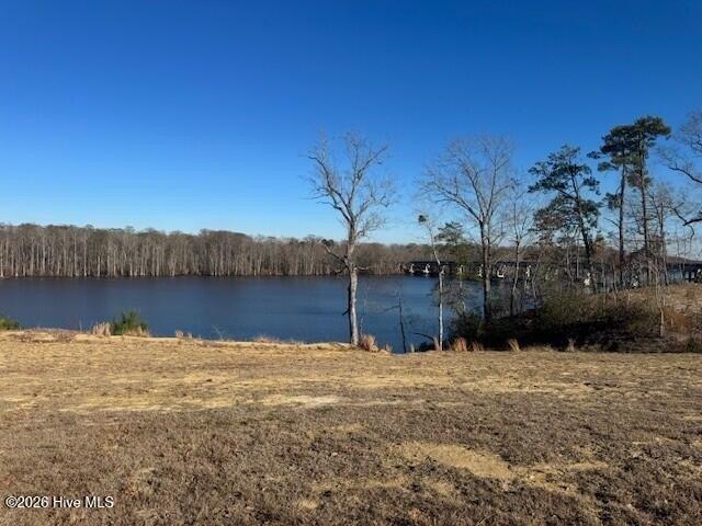 122 River Bluff Dr Lot 16, Winton, NC 27986