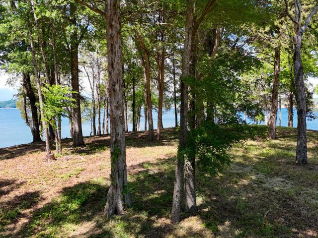 122 Ridge Point Tr