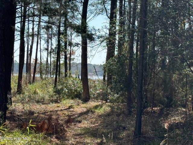 122 Wackena Way, Beaufort, NC 28516 | MLS #100558