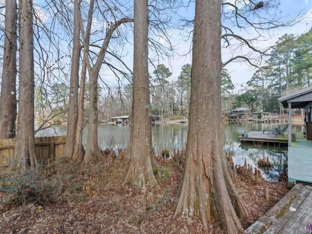 12343 Lake Rosemound Rd, St. Francisville, LA 70775 | MLS #BR2026002