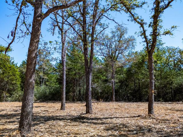 12345 County Road 414