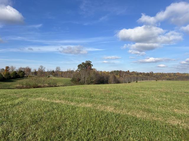 1234 Old Highway 52