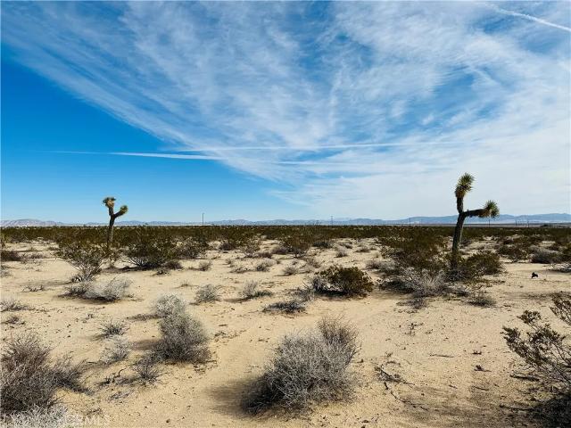 1234 Desert Lily, Joshua Tree, CA 92252 | MLS #JT24182