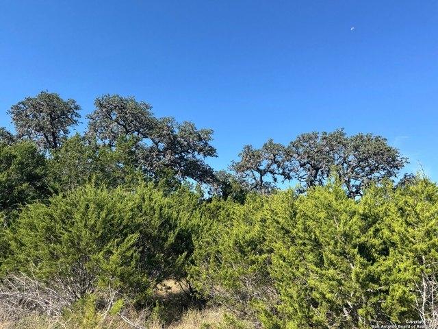 1234 FM 2828, Bandera, TX 78003